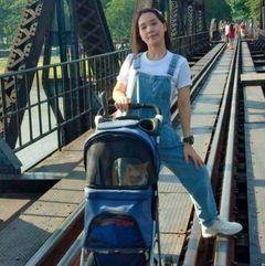 โพสต์ ของ nitcha|Lemon8