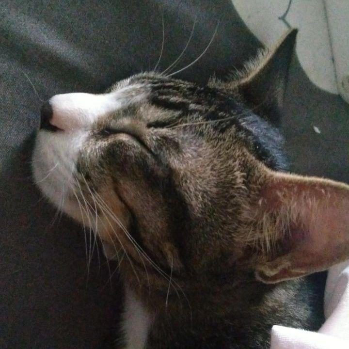 โพสต์ ของ Aom Ym|Lemon8