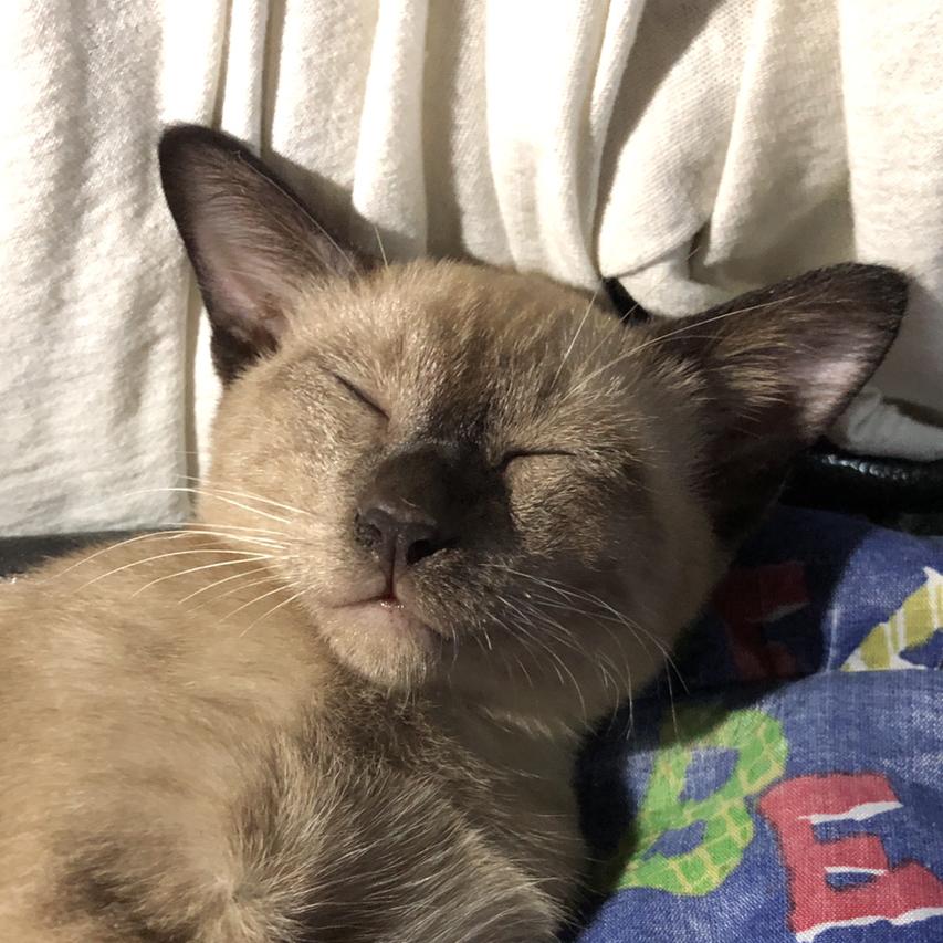 โพสต์ ของ _toon._|Lemon8