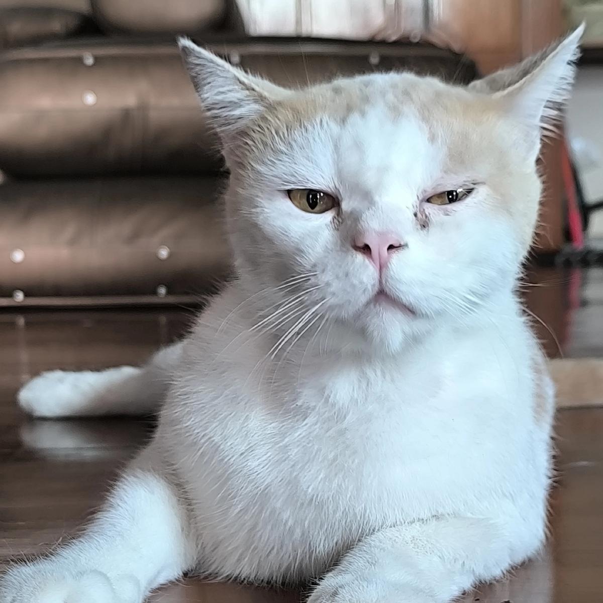 โพสต์ ของ Peerapat|Lemon8