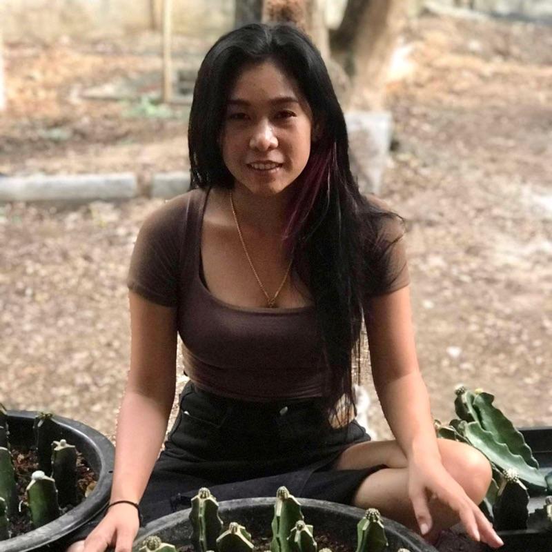 โพสต์ ของ Thanyalak|Lemon8