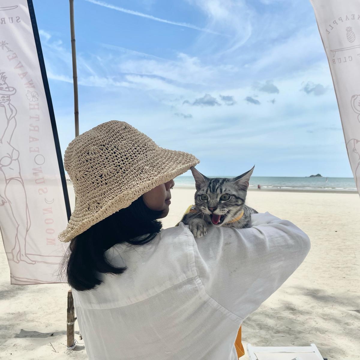 โพสต์ ของ Yokk.h ·͜·|Lemon8