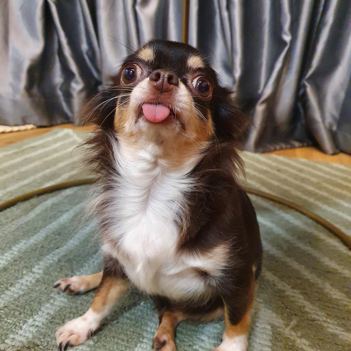 โพสต์ ของ 🖤Parn Ae🖤789|Lemon8