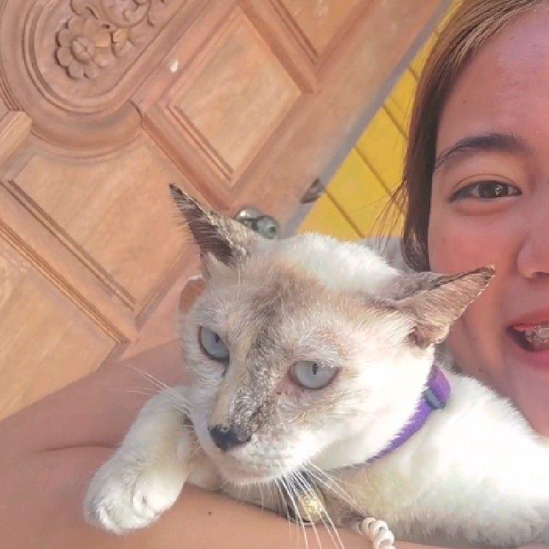 โพสต์ ของ E|Lemon8