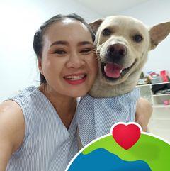 โพสต์ ของ Lisa Phun|Lemon8