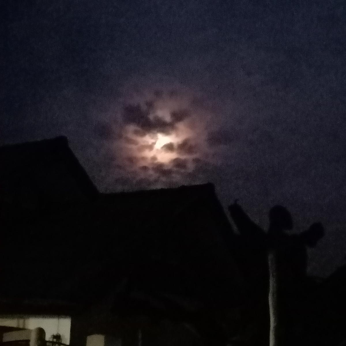 โพสต์ ของ Luckyyy|Lemon8