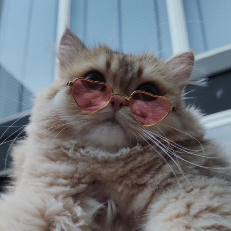 โพสต์ ของ ja|Lemon8