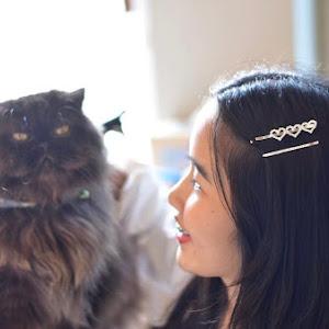 โพสต์ ของ Pichamon 🐰|Lemon8