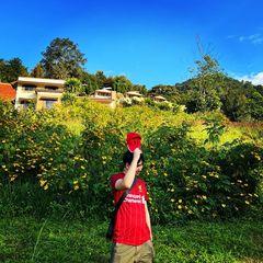 โพสต์ ของ Siri Poom|Lemon8