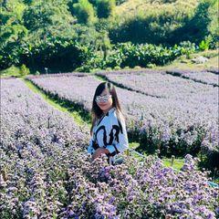 โพสต์ ของ May B Jaruwan|Lemon8