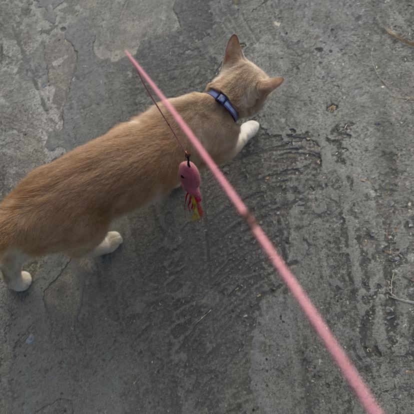 โพสต์ ของ papim💕|Lemon8