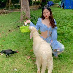 โพสต์ ของ Baiteiy Sommanu|Lemon8