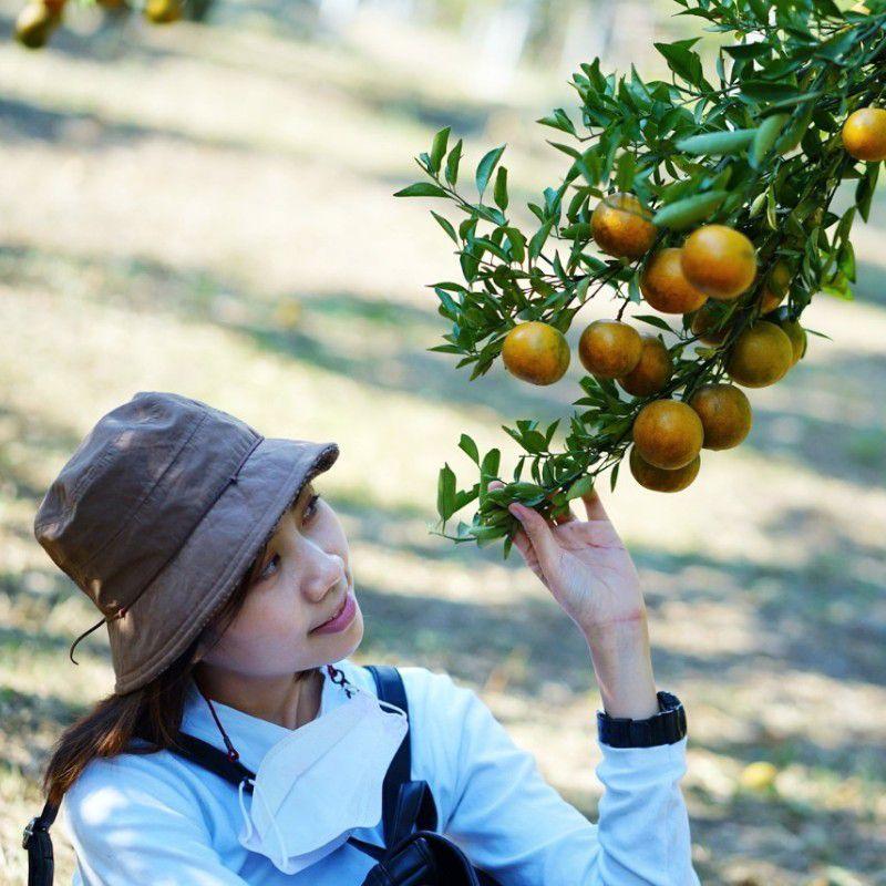 โพสต์ ของ 😜water..melon|Lemon8