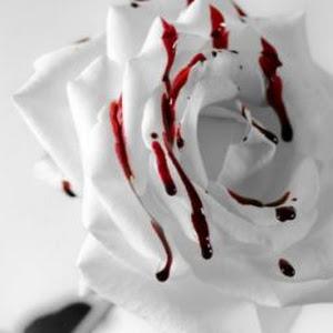 Posting Vhany°|Lemon8