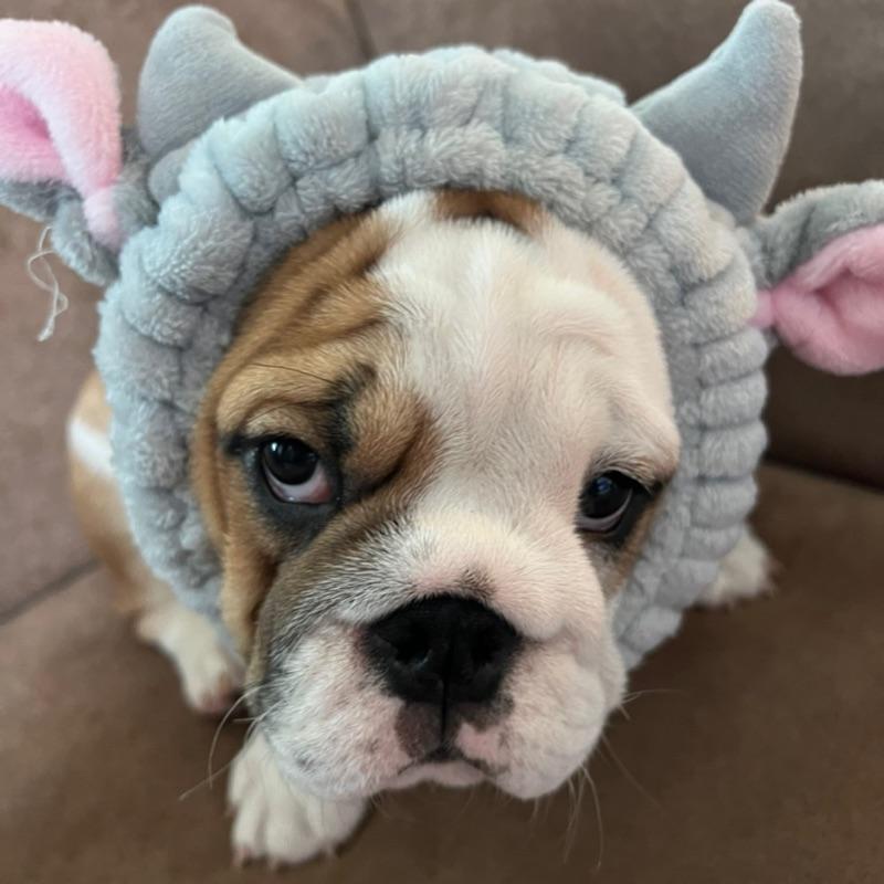 โพสต์ ของ Double BB|Lemon8