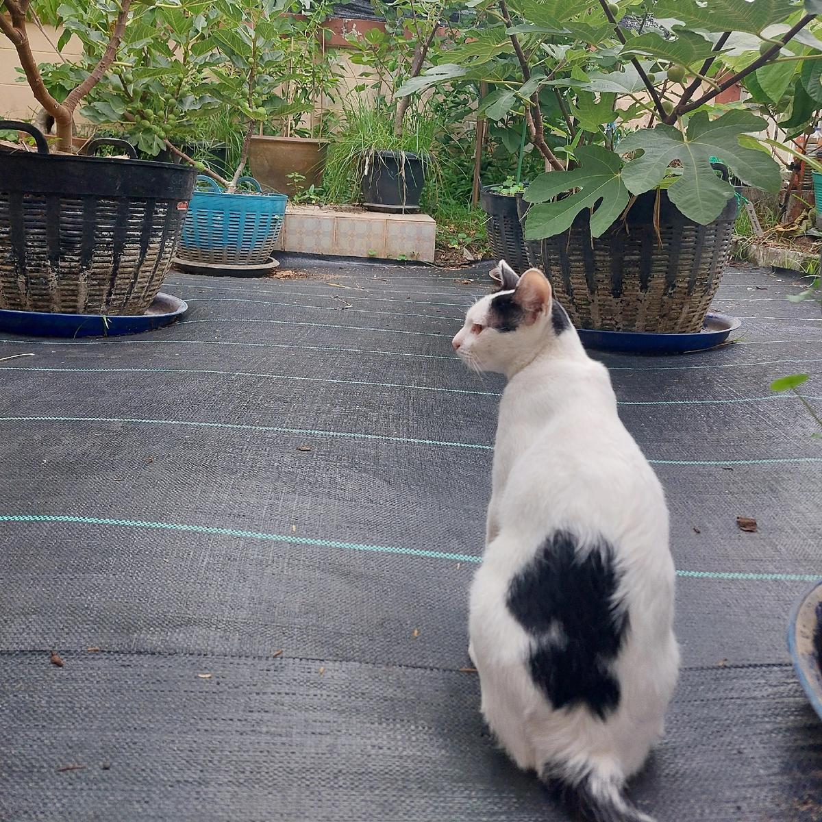 โพสต์ ของ Whereder Poshte|Lemon8