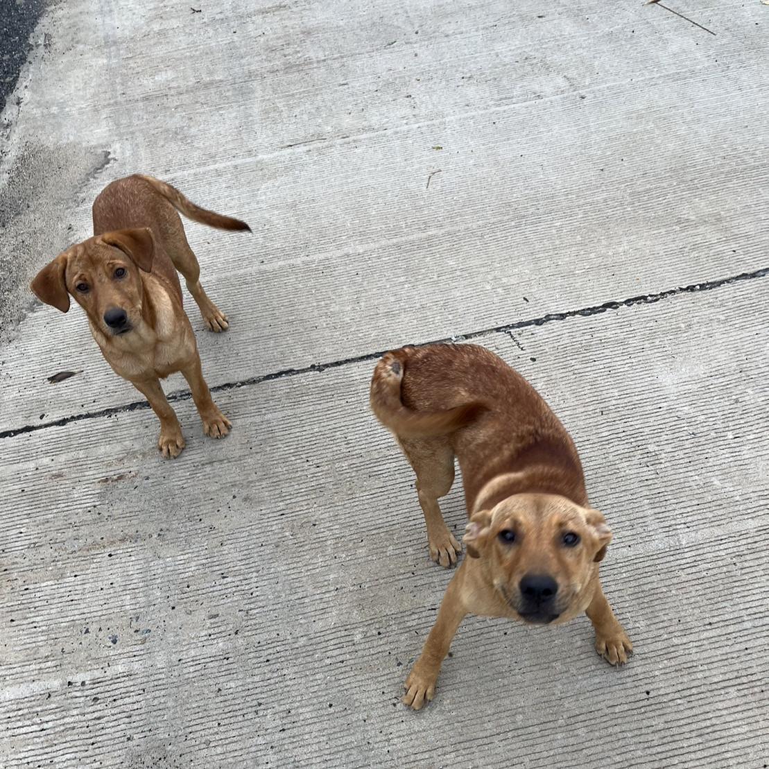 โพสต์ ของ ping pong|Lemon8