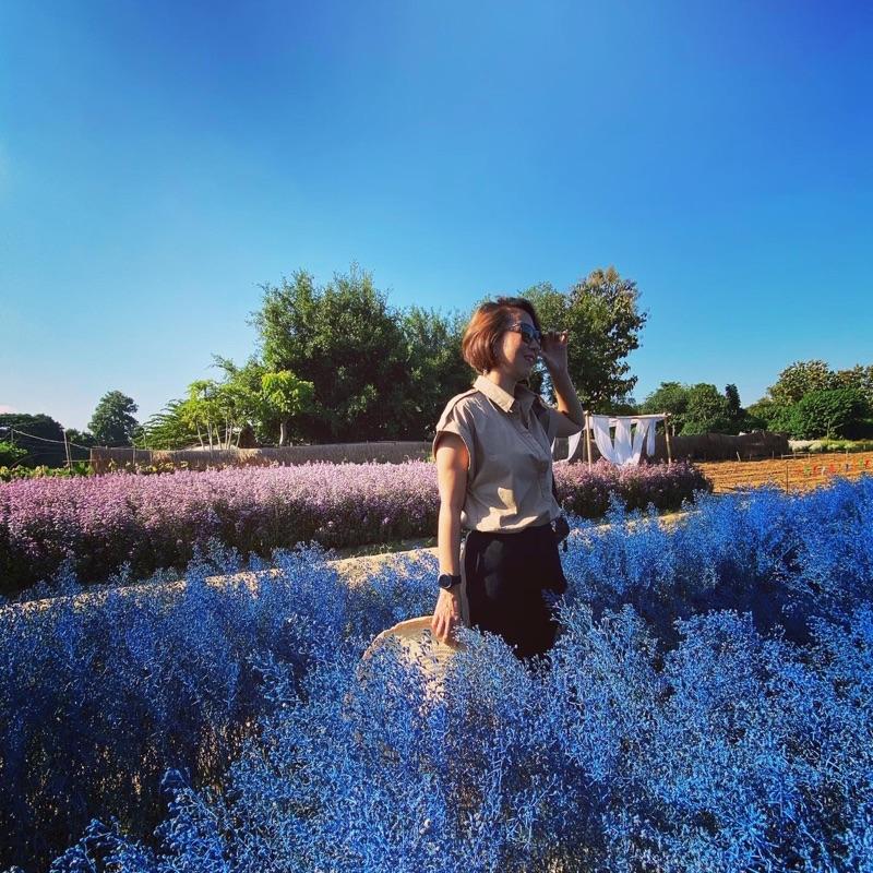 โพสต์ ของ Tai|Lemon8