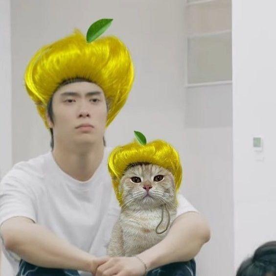 โพสต์ ของ Better Lee|Lemon8