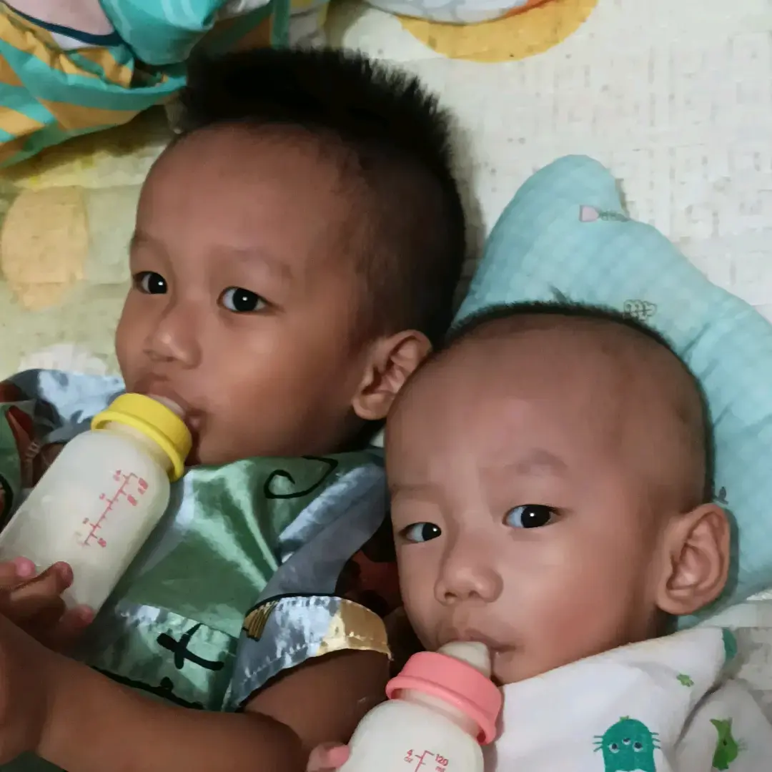 โพสต์ ของ KaoGunt Cactus|Lemon8