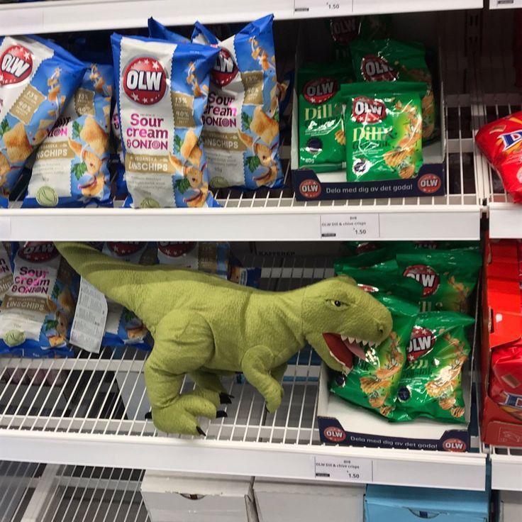 โพสต์ ของ dino"dinosaur"|Lemon8