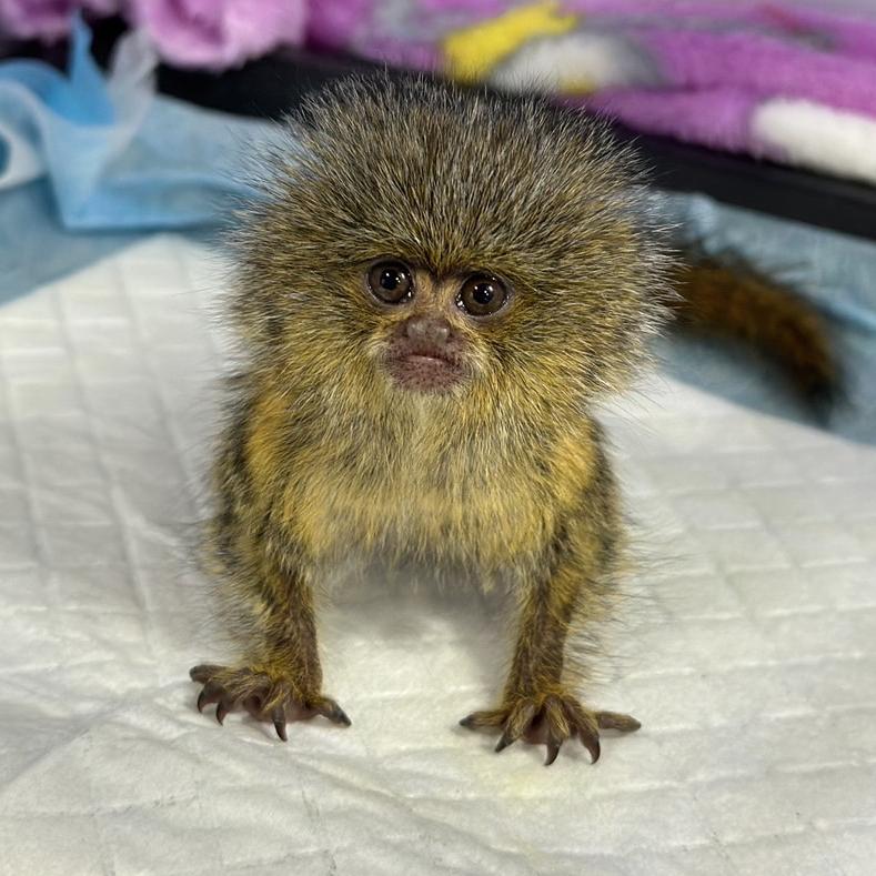 โพสต์ ของ Nicha Yuu|Lemon8