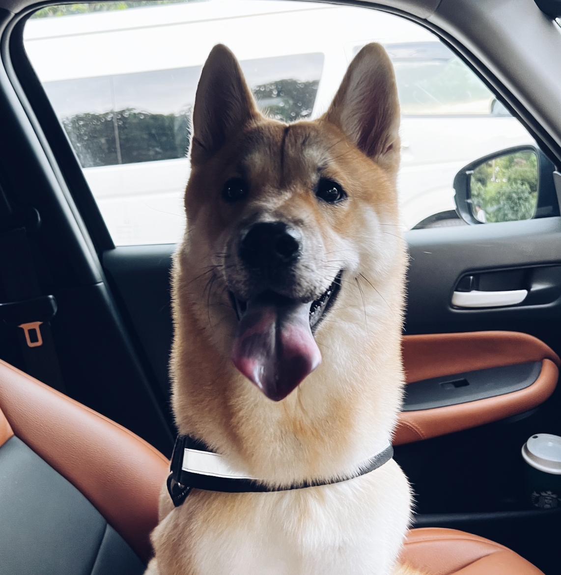 Sueyee & Miso's Post|Lemon8