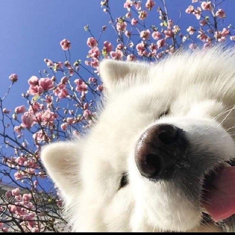 โพสต์ ของ Just James|Lemon8