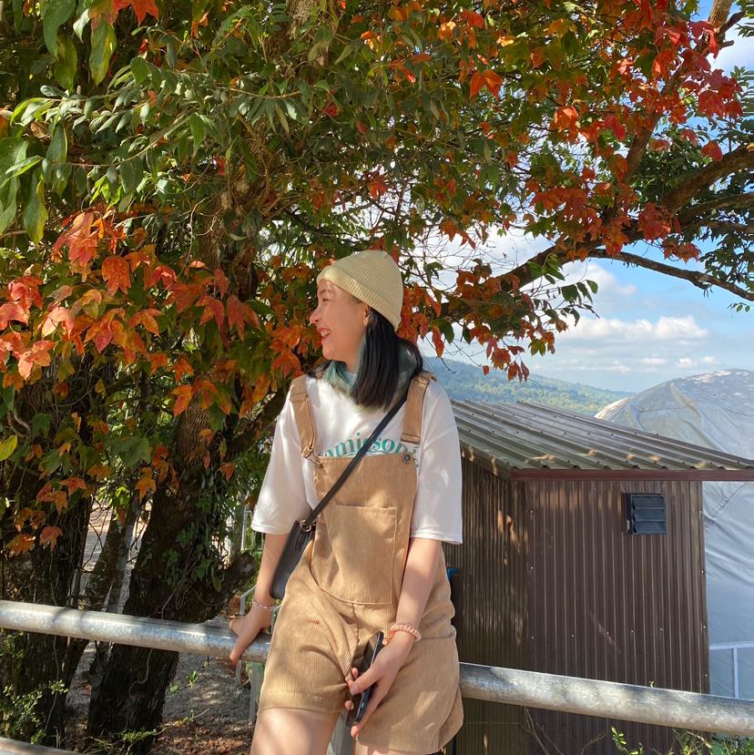 โพสต์ ของ Nam|Lemon8