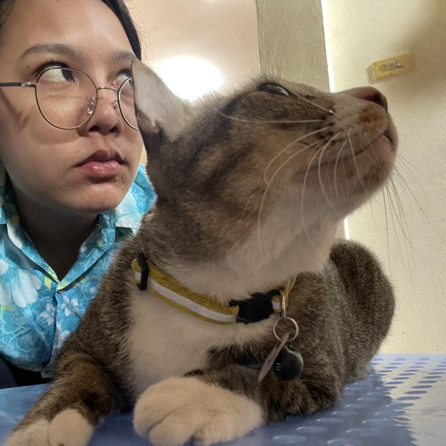 โพสต์ ของ Kade♾️|Lemon8