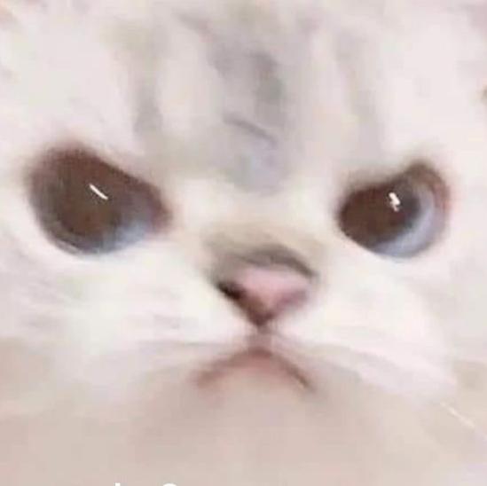 โพสต์ ของ Pppppppp|Lemon8