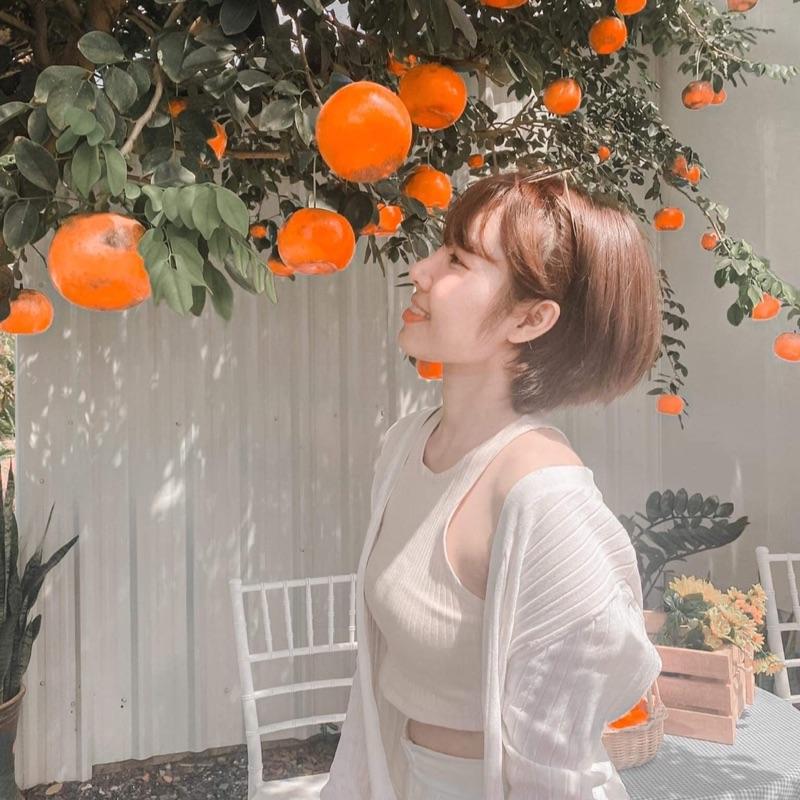 โพสต์ ของ Vava|Lemon8