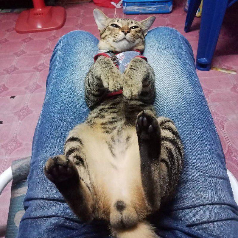 โพสต์ ของ ooy|Lemon8