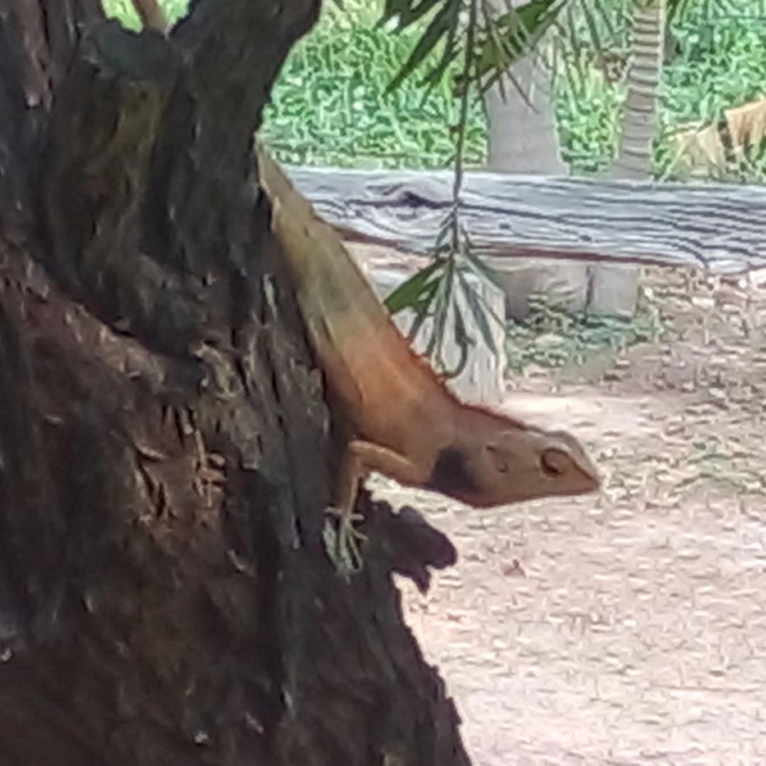 โพสต์ ของ G Kk|Lemon8