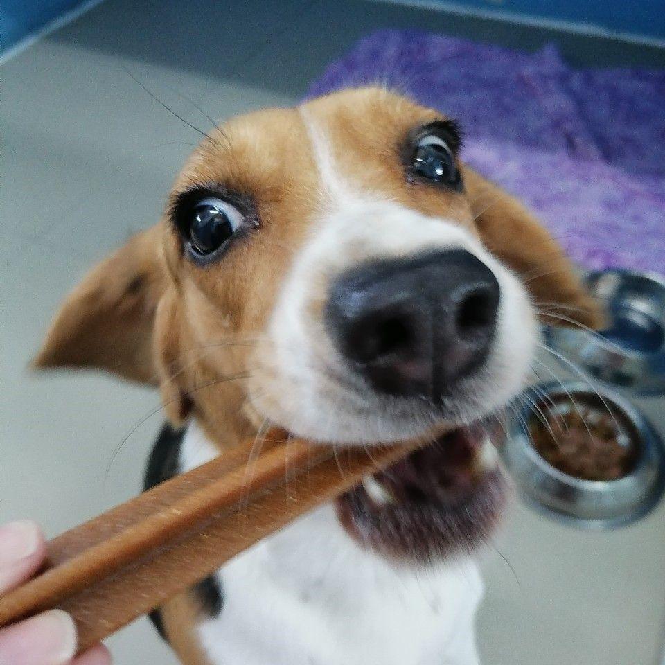 โพสต์ ของ Ratcha|Lemon8