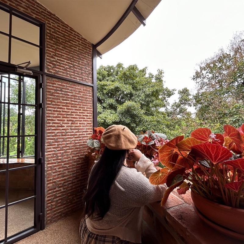 โพสต์ ของ Pair'j Venus|Lemon8