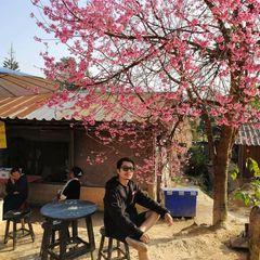 โพสต์ ของ Boy Krungsri Bo|Lemon8