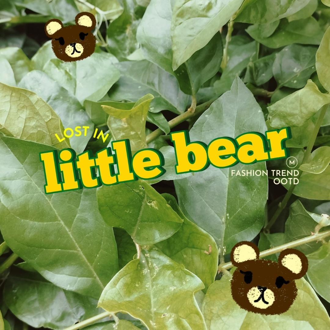 โพสต์ ของ little bear🐻|Lemon8