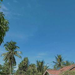 โพสต์ ของ Betrik Pramesti|Lemon8