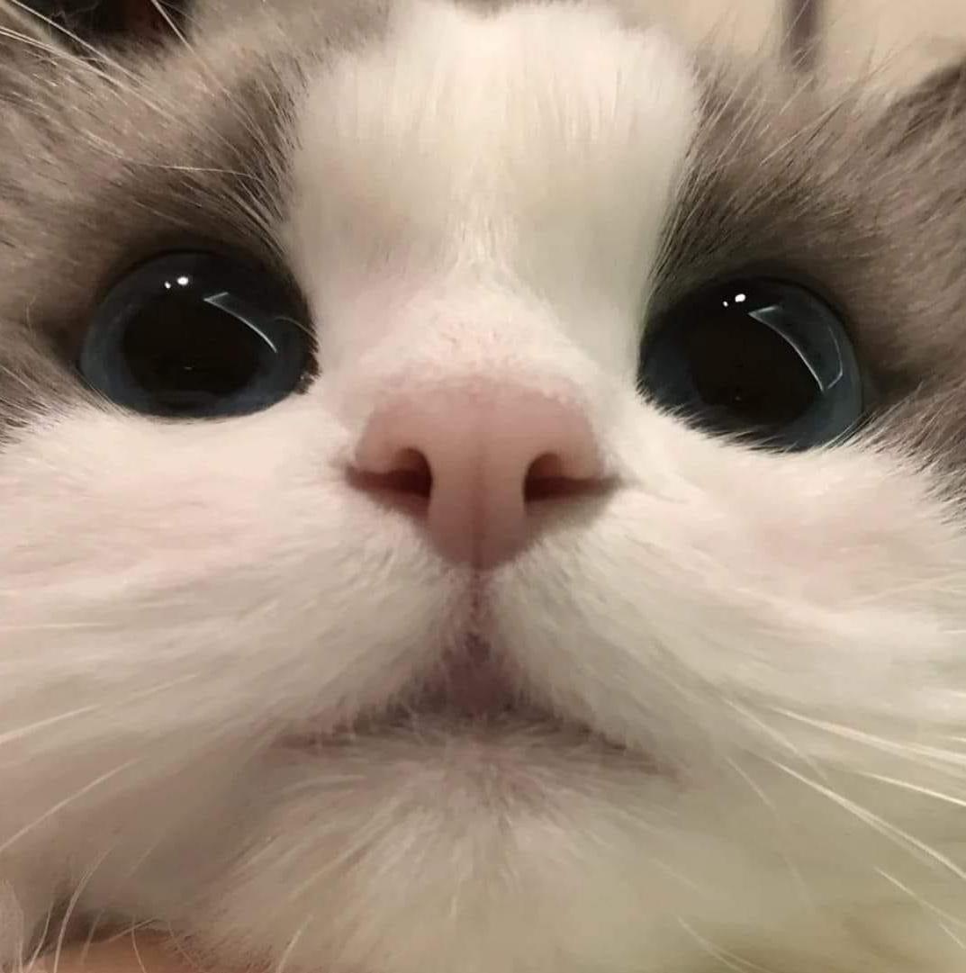 โพสต์ ของ J.|Lemon8