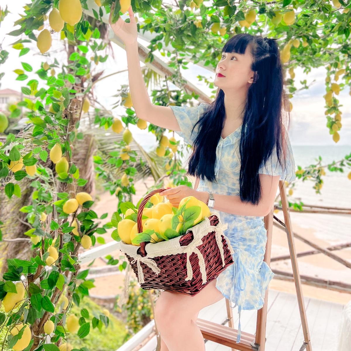 โพสต์ ของ yongfei|Lemon8