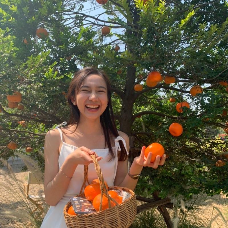 โพสต์ ของ Anutida Th.|Lemon8