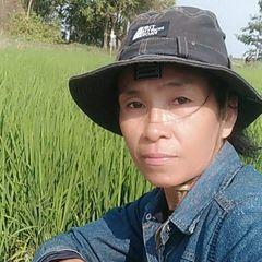 โพสต์ ของ DAodao Daodao|Lemon8