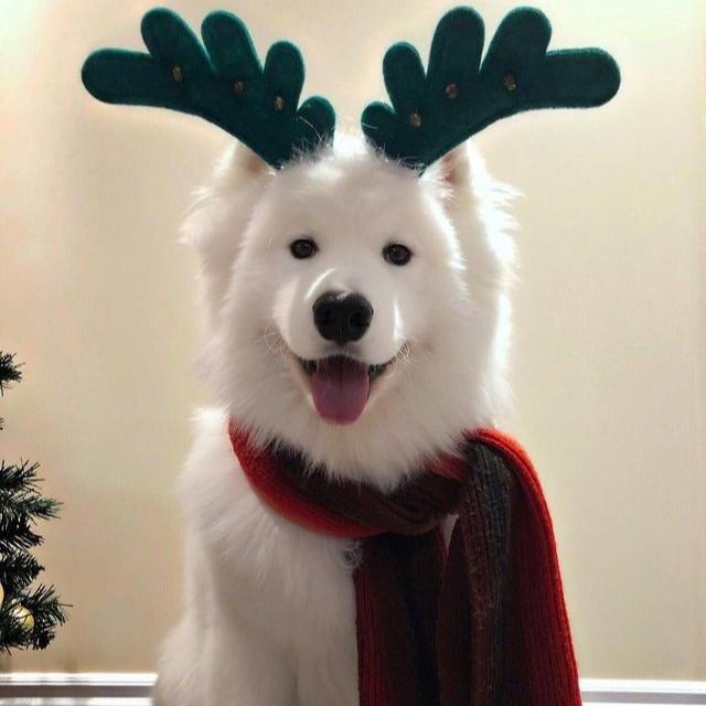 โพสต์ ของ Phatcharamon Sr|Lemon8