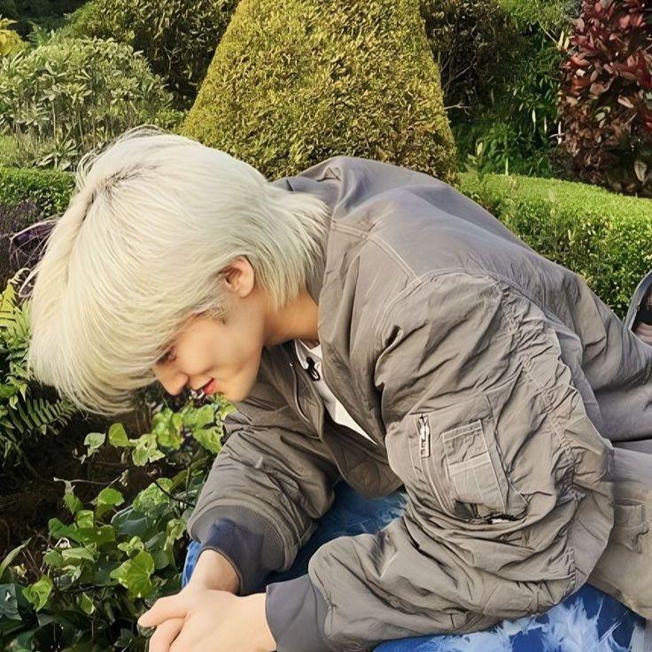 โพสต์ ของ Lilith__|Lemon8