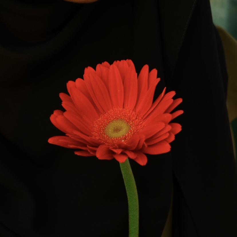 โพสต์ ของ Riya |Lemon8