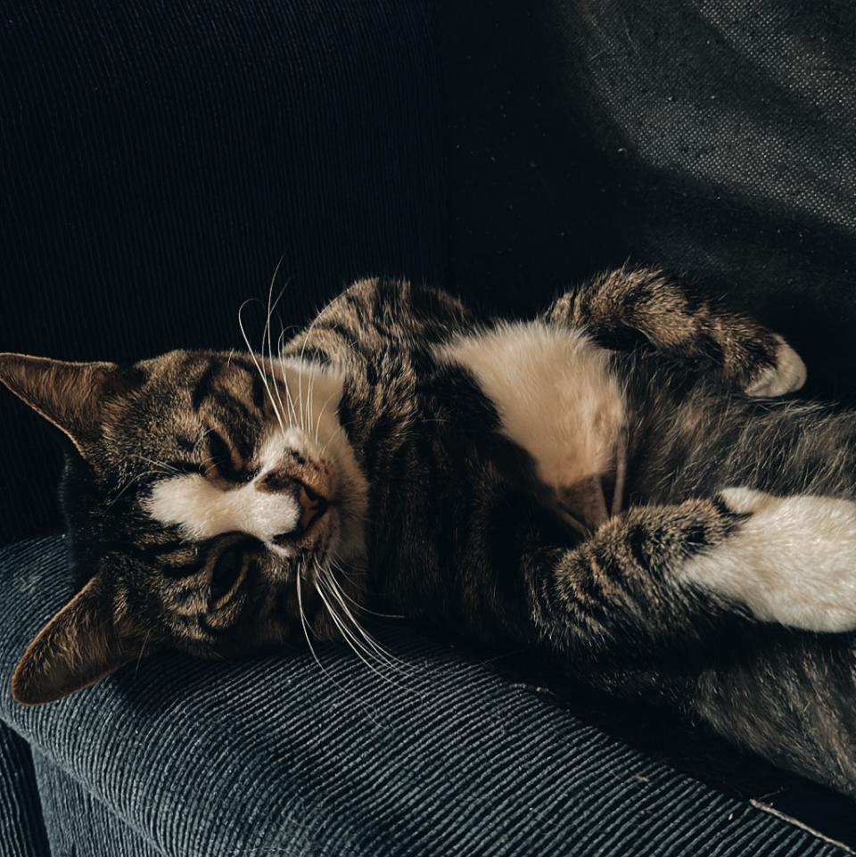 Posting Gurl Patrick|Lemon8