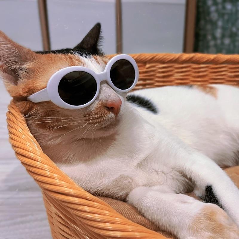 โพสต์ ของ Sawittee|Lemon8