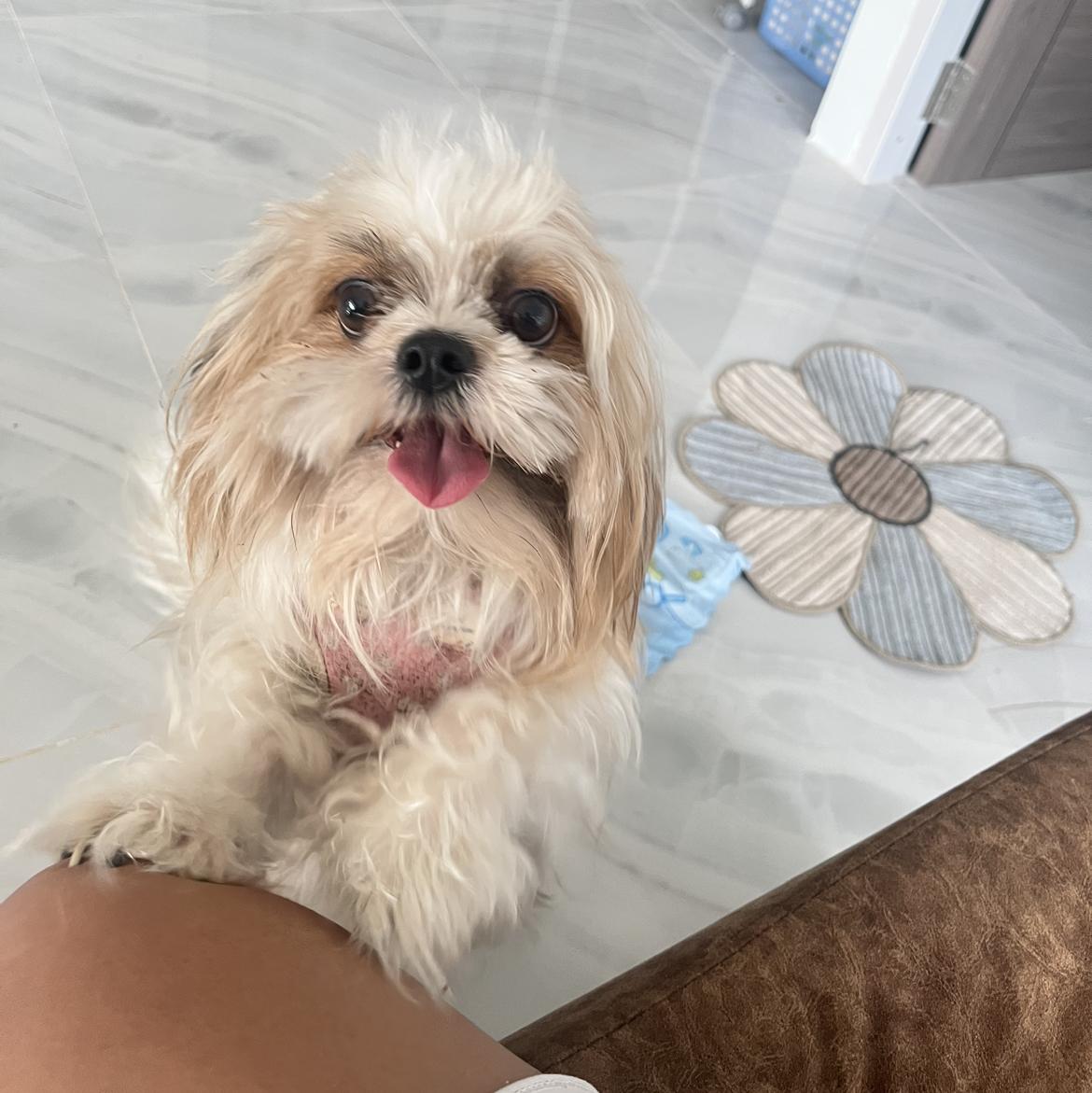 โพสต์ ของ Kib 🍑|Lemon8