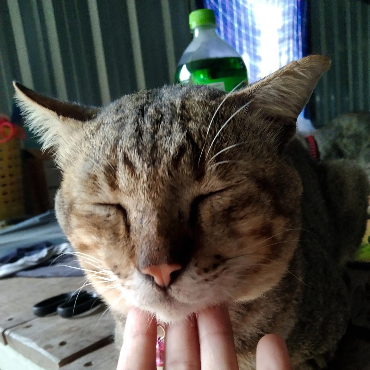 โพสต์ ของ kamol|Lemon8